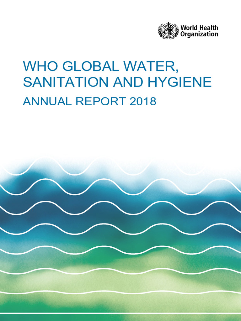 Who Global Water, Sanitation and Hygiene Annual Report 2018 | PDF ...