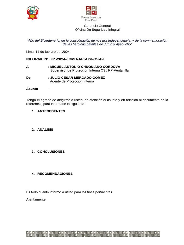 Modelo De Informe 2024 Pdf