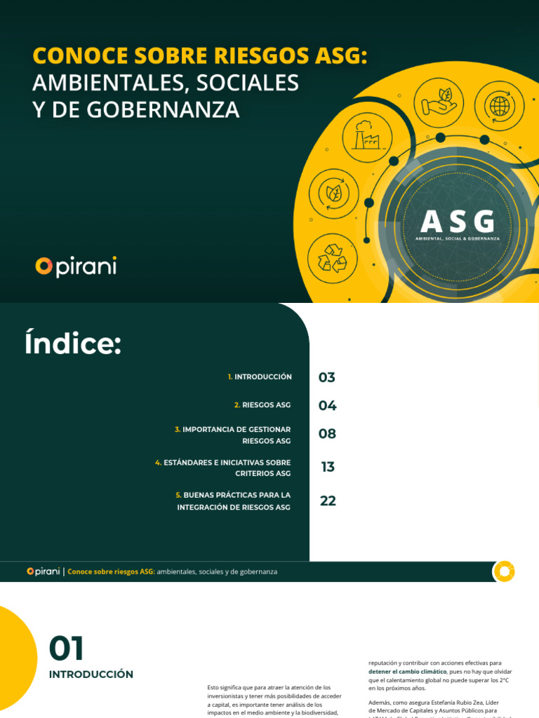 Conoce sobre riesgos ASG ambientales, sociales y de gobernanza | PDF | Sustentabilidad | Gobernancia