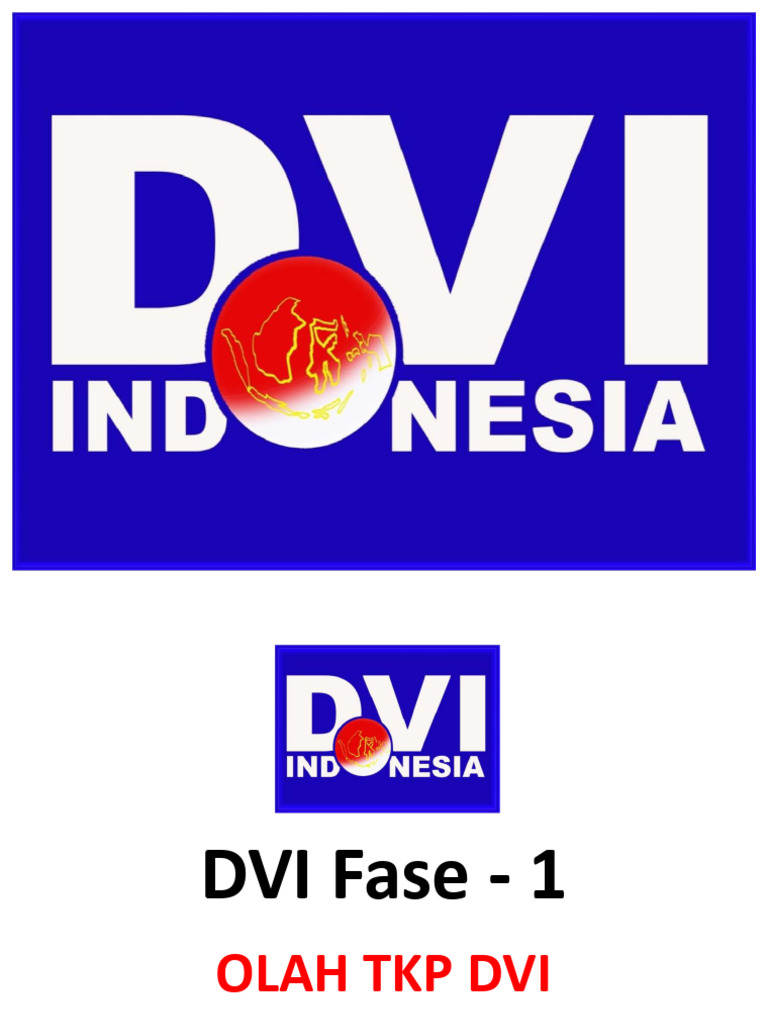 02.01 DVI Phase1 Overview | PDF