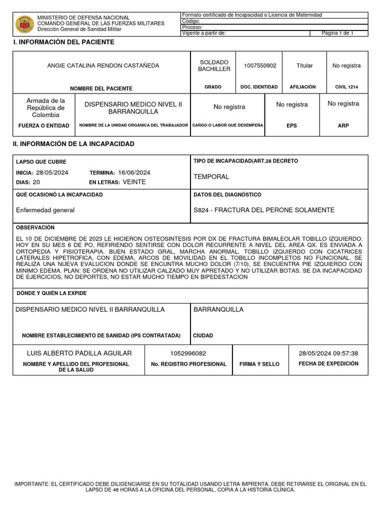 Reporte - Incapacidades RENDON CATALINA JUNIO | PDF | Cuidado de la ...