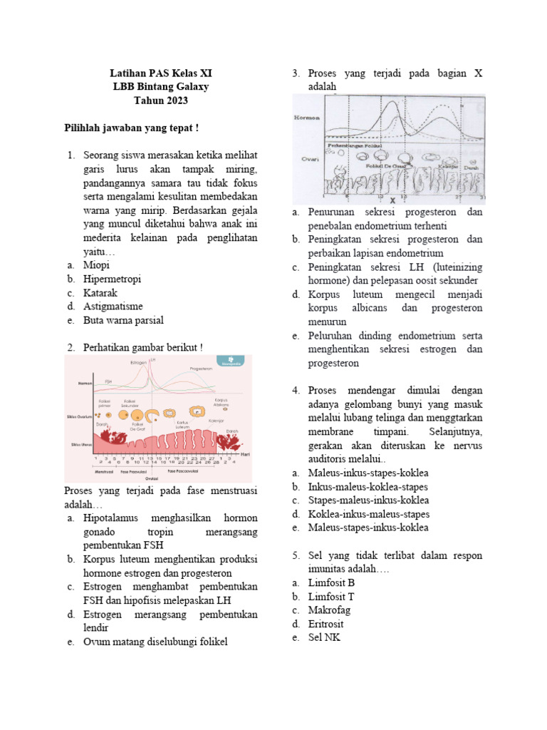 Latihan PAS Kelas XI | PDF