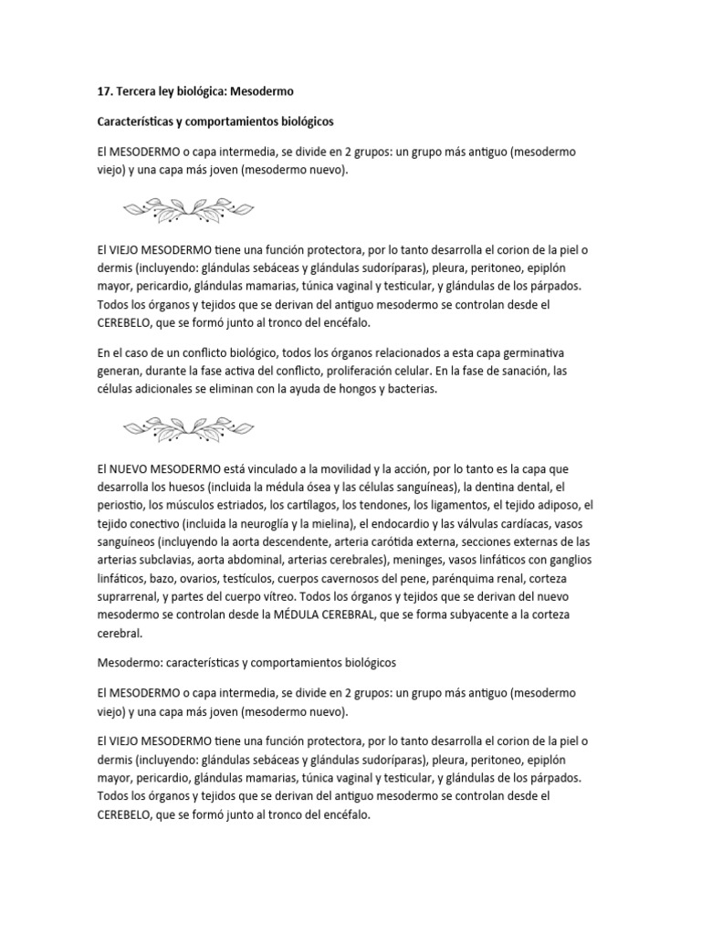 Tercera Ley Biológica Mesodermo | PDF | Cerebro | Piel