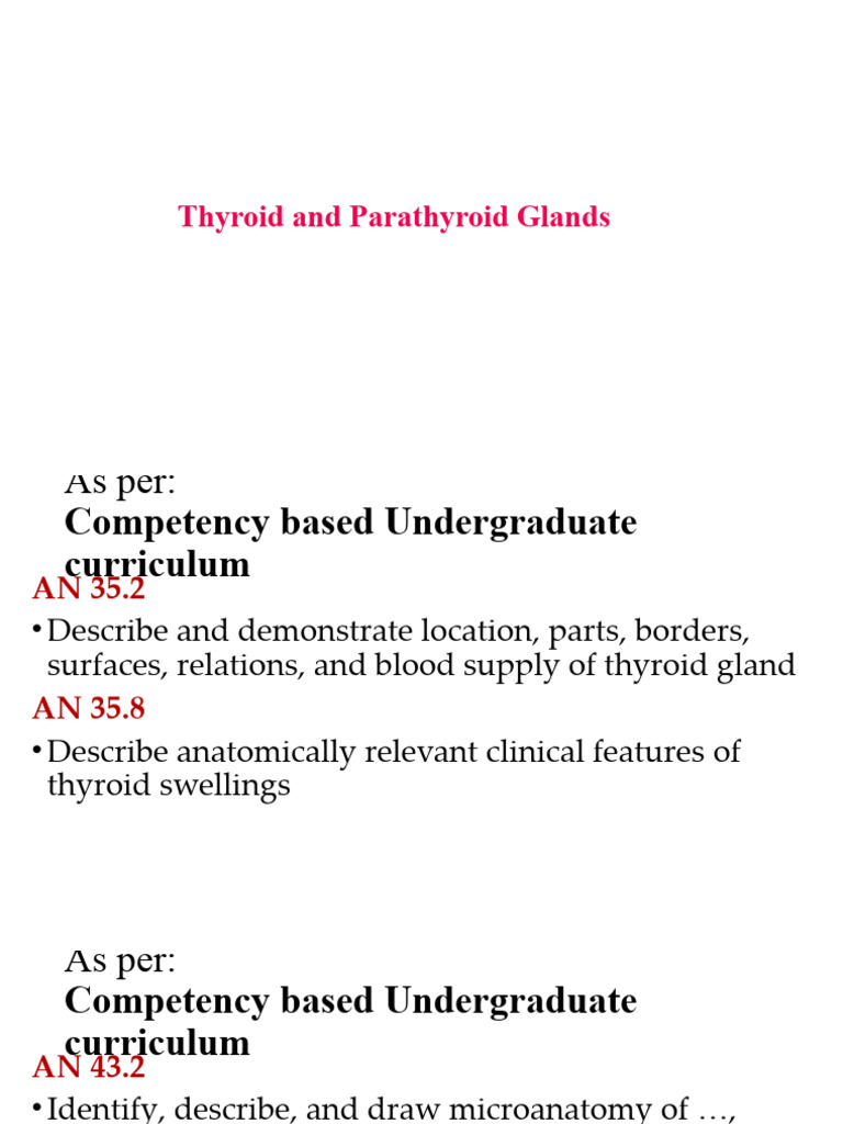 Thyroid and Parathyroid Glands | Download Free PDF | Thyroid | Common Carotid Artery