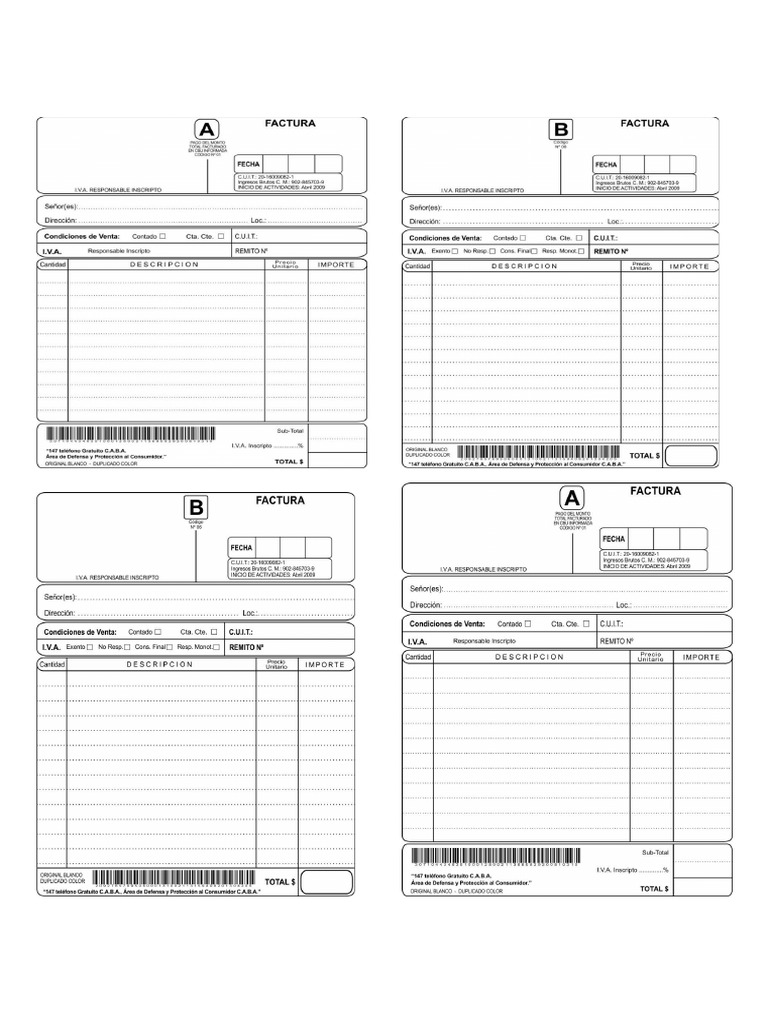 Modelos de Facturas A y B | PDF