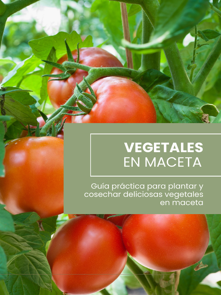 Cultivo de Vegetales en Macetas: Guía Práctica | PDF | Vegetales | Riego