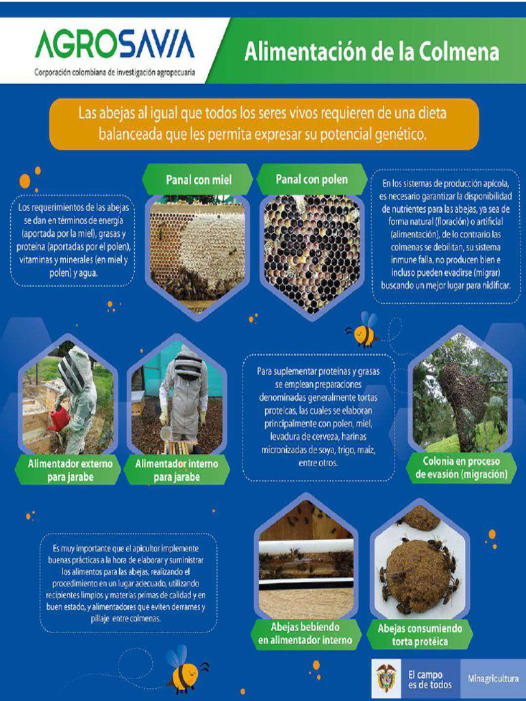 Alimentación De La Colmena Pdf