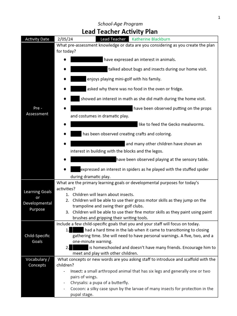 School-Age Program Activity Plan | PDF | Pupa | Butterfly