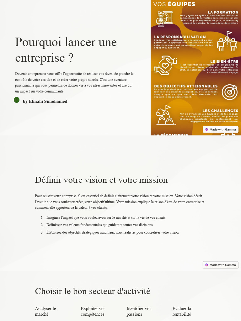 Pourquoi Lancer Une Entreprise | PDF | Business | Plan d'affaires