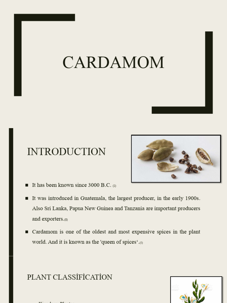 Cardamom | PDF