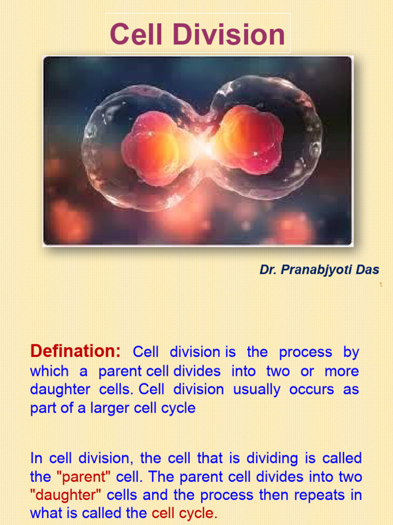 Cell Division Lecture Powerpoint | PDF | Meiosis | Mitosis