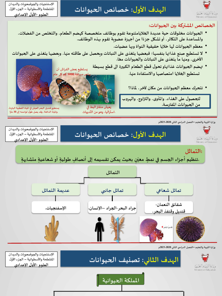 Sponges Intestines Flatworms and Roundworms 1 | PDF