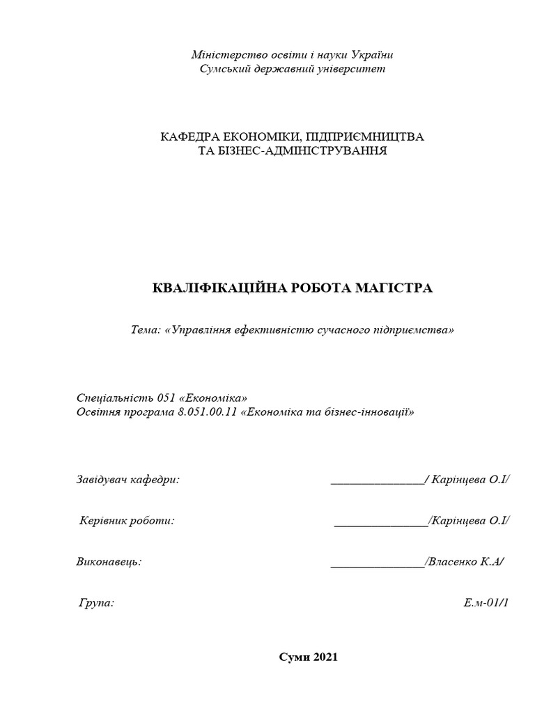 Vlasenko Mag Rob | PDF