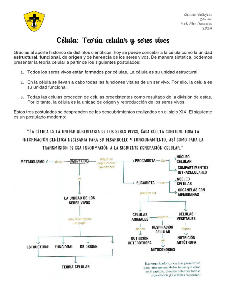 Teoría celular y tipos de células | PDF | Biología Celular) | Citoplasma