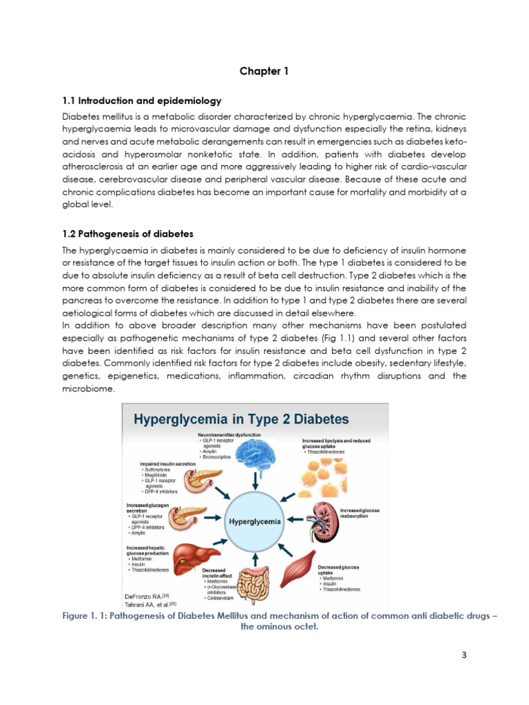 Chapter 1 - Introduction | PDF | Diabetes | Hyperglycemia