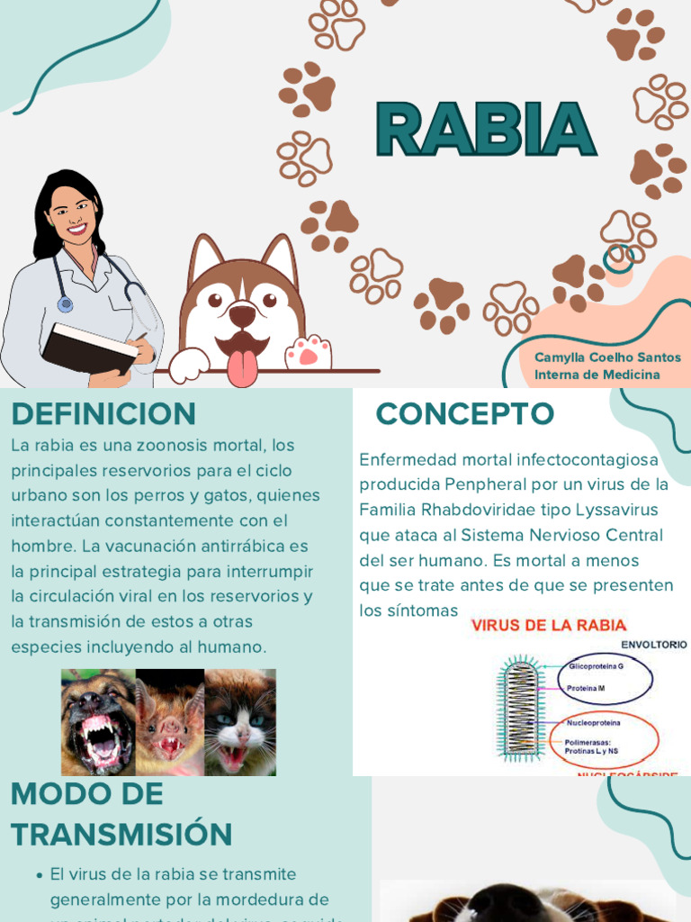 Prevención y Epidemiología de la Rabia | PDF | Rabia | Especialidades Medicas