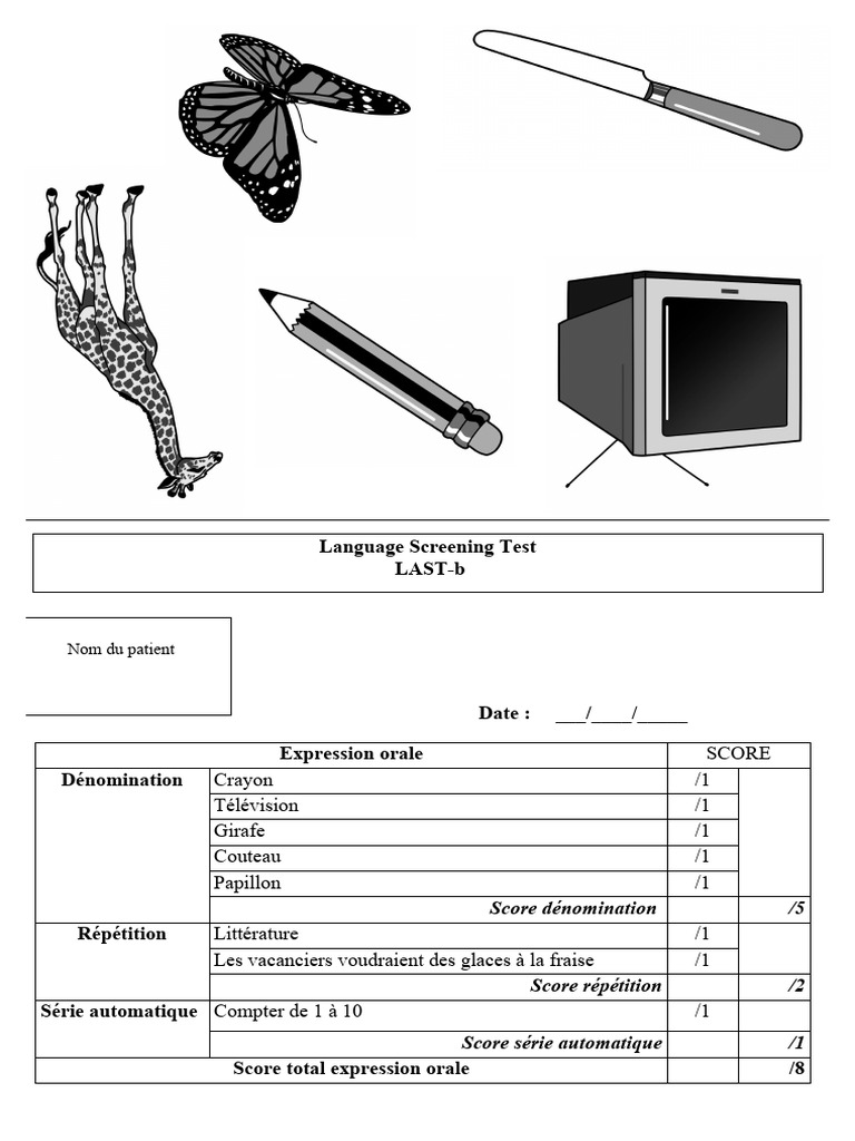 Test de dépistage linguistique LAST-b | PDF