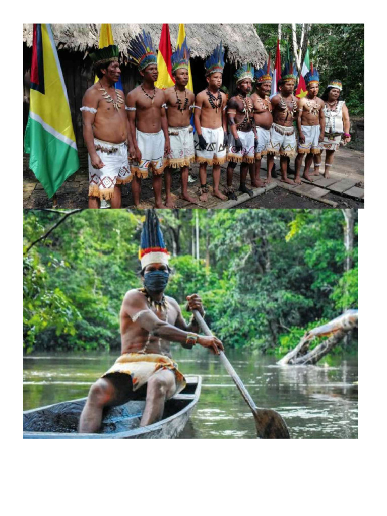 Animales Amazonas | PDF