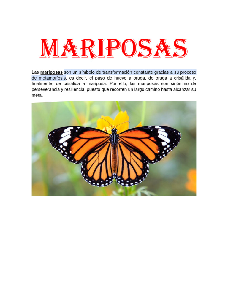 Mariposas: Símbolo de Transformación | PDF