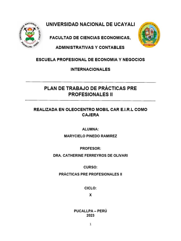 Plan de Trabajo | PDF | Business | Contabilidad