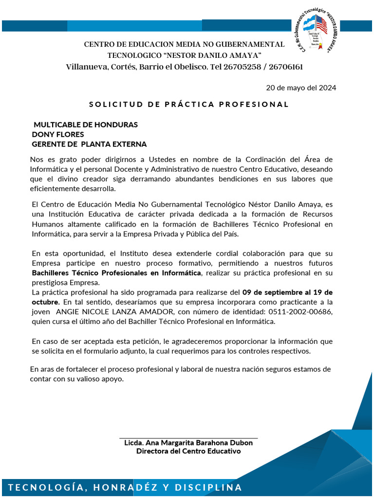 Solicitud de Practica Profesional 2024 | Descargar gratis PDF ...