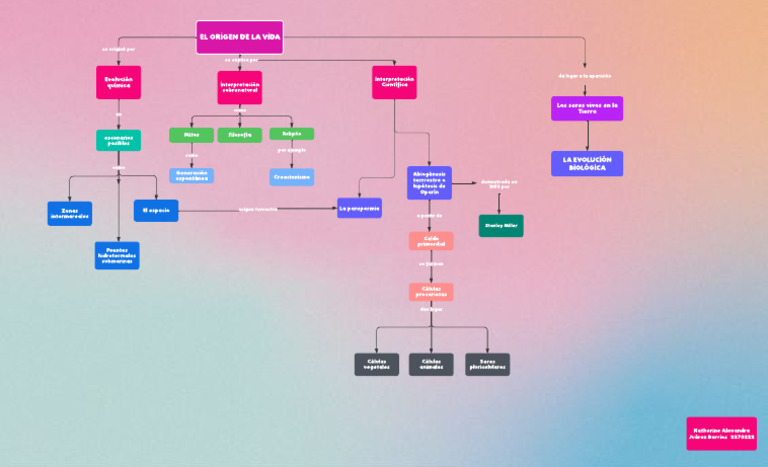 Mapa Conceptual, El Origen de La Vida | PDF | Evolución biológica ...