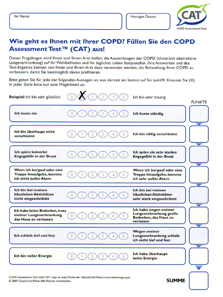 Fragebogen COPD CAT | PDF