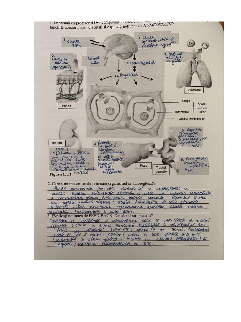 Caiet Fiziologie Tema 1 | PDF
