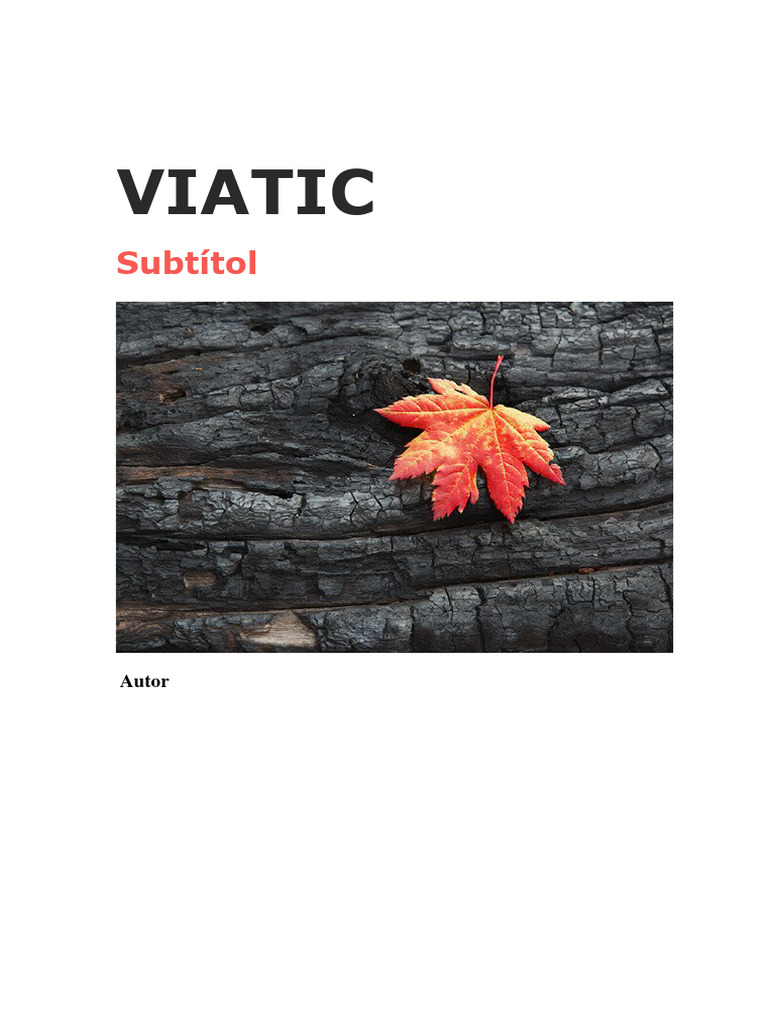 Viatic: Subtítol | PDF