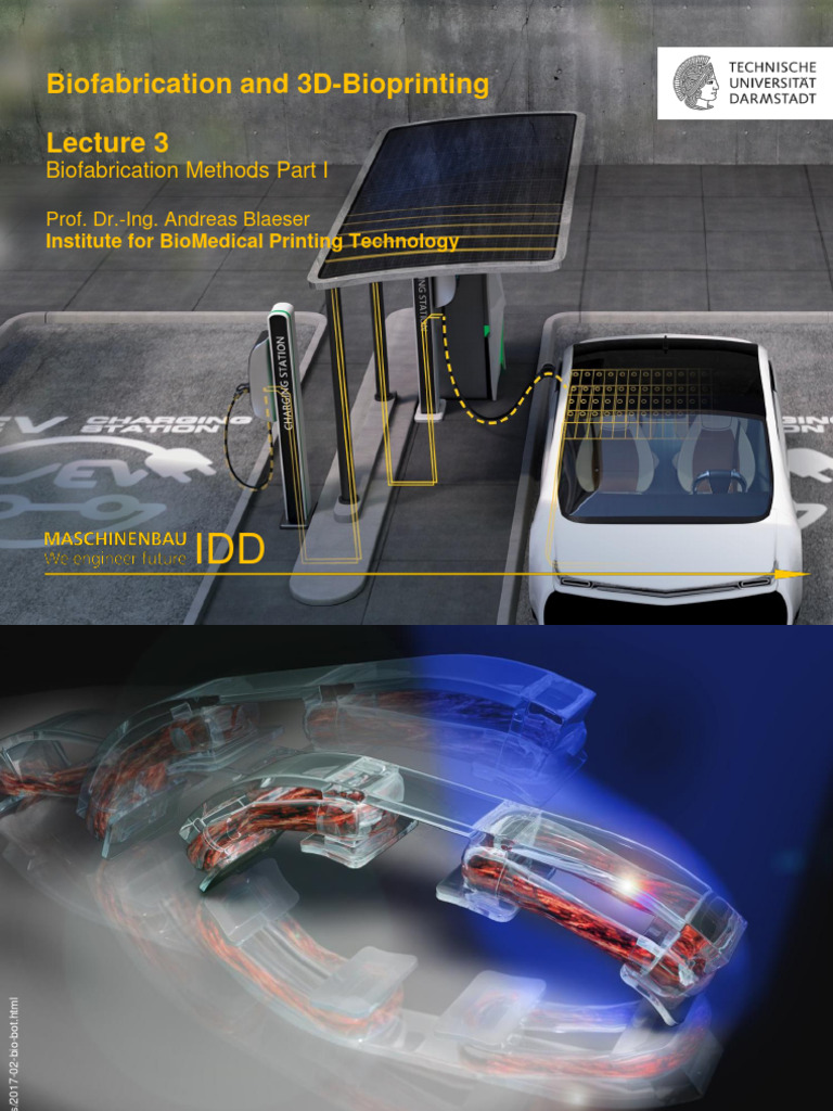 Biofabrication Methods Overview | PDF | Tissue Engineering ...