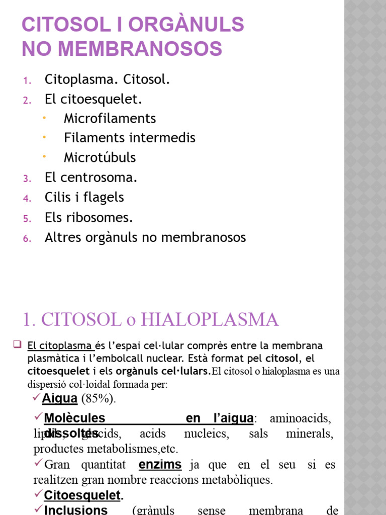 Citosol I Orgànuls No Membranosos | PDF