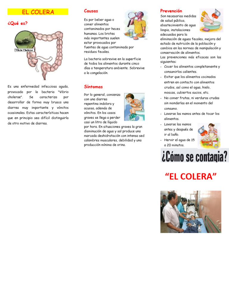 Triptico-El-Colera | PDF | Agua | Cólera