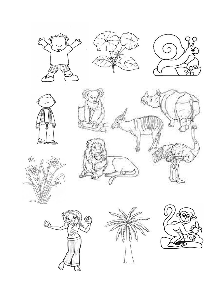 Plantas y Animales (2) | PDF