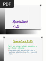 Specialised Animal Cells - Living Organisms - KS3 Biology - BBC ...