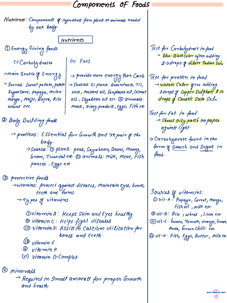 Components of Foods ( Class-6) | PDF
