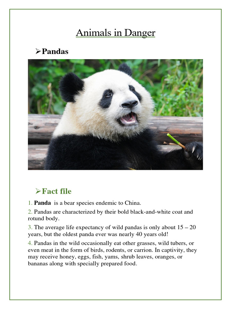 Animals in Danger | Download Free PDF | Giant Panda | Environmental ...