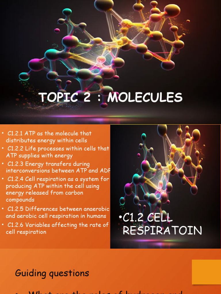 ATP and Cell Respiration Overview | PDF | Cellular Respiration ...