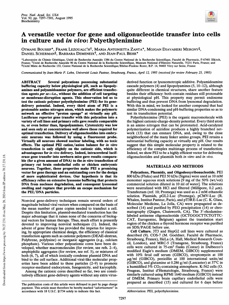 PEI: A Versatile Gene Delivery Vector | PDF | Transfection ...