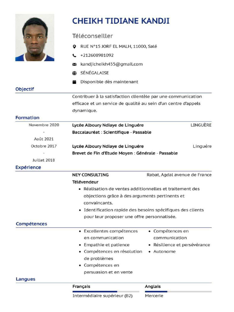 CV CheikhTidiane Kandji | PDF