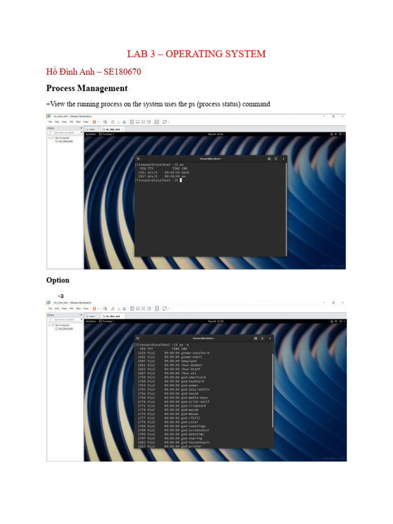 Linux Process Management Guide | PDF | Teaching Methods & Materials | Technology & Engineering