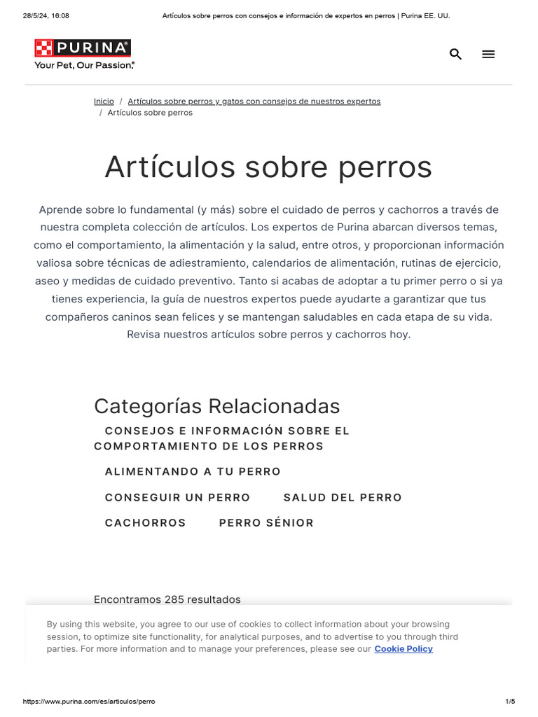 Informe de Animales Domesticos | PDF | Animales y humanos