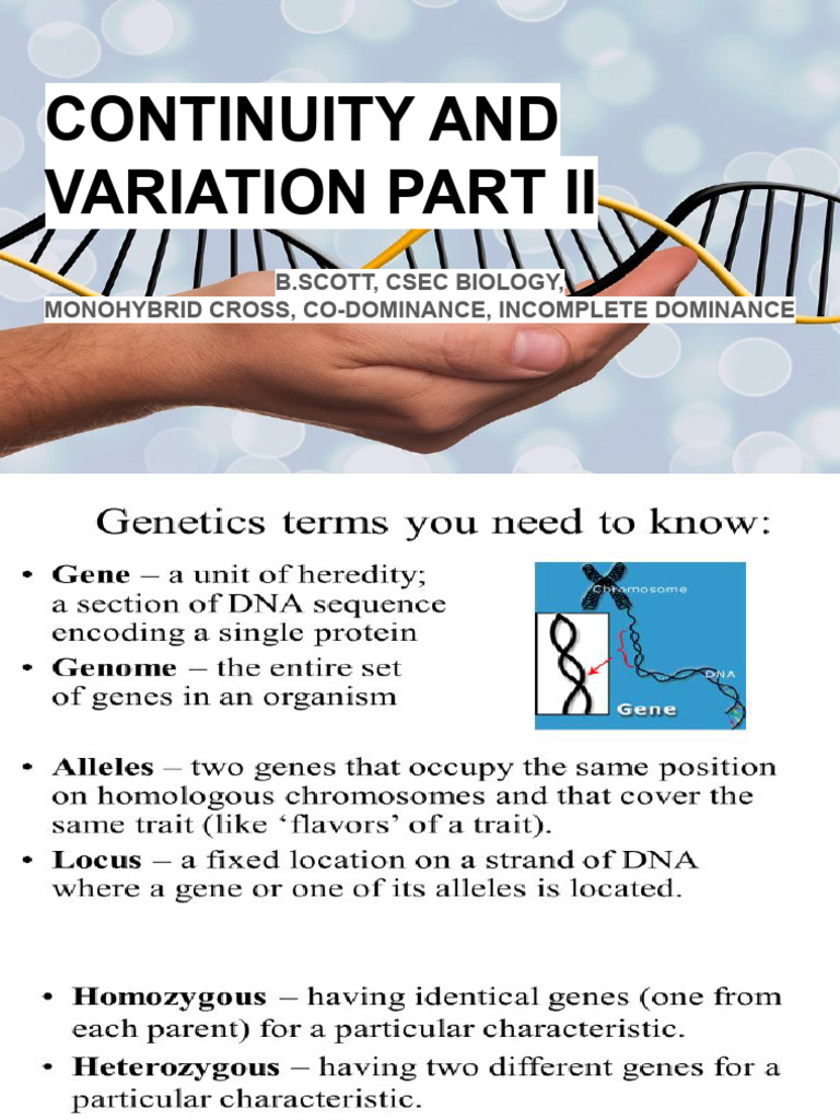 Continuity and Variation Part Ii | PDF | Dominance (Genetics) | Sex