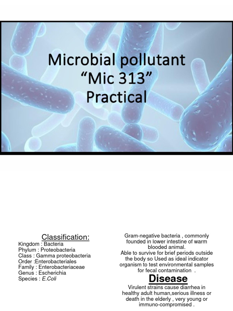 Lab 3 Different Microbial Pathogen | Download Free PDF | Bacteria | Biology