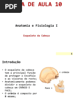 Suturas Do Crânio Resumo | PDF | Anatomia | Anatomia humana