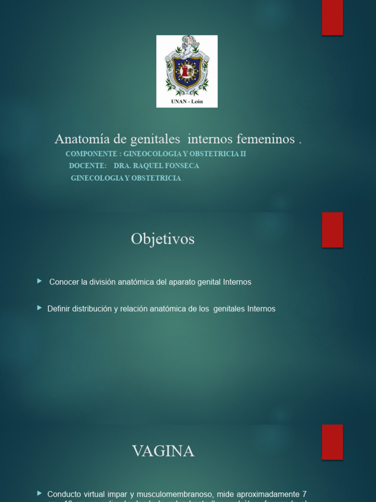 Anatomía de Genitales Internos Femeninos | PDF | Vagina | Anatomía