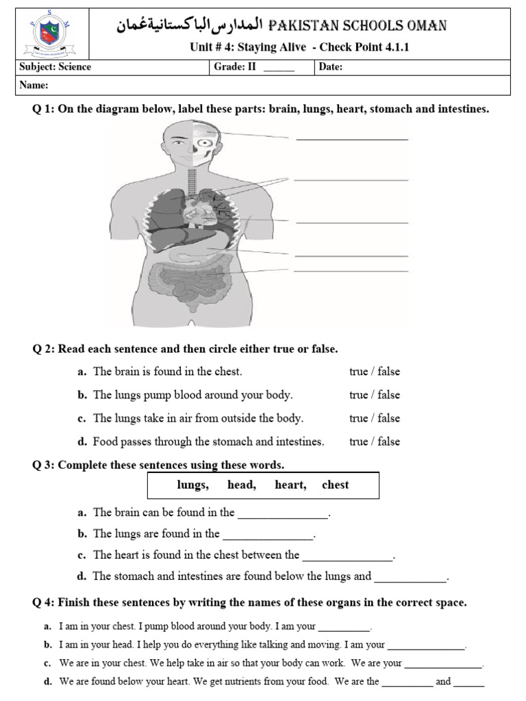 Unit # 4 - Staying Alive | PDF | Thorax | Foods