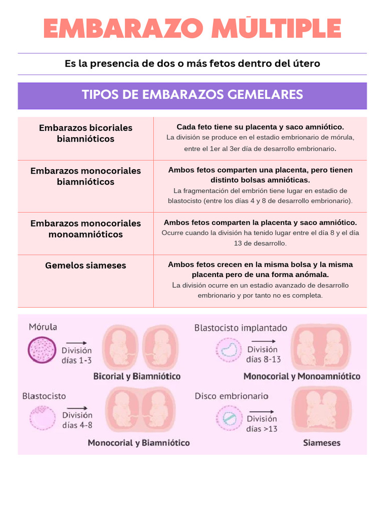 Tipos de Embarazo Gemelar y Complicaciones | PDF | El embarazo | Gemelo
