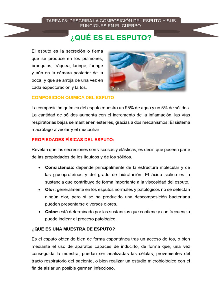 Cultivo y análisis del esputo | PDF | Tos | Biología