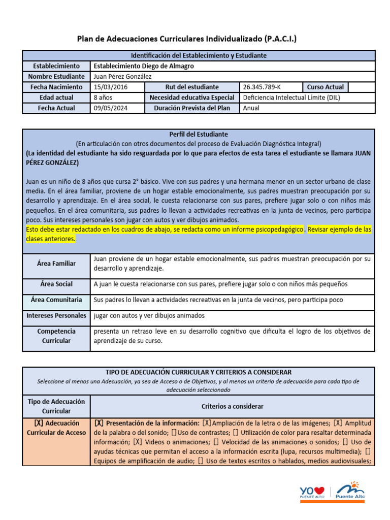 Formato PACI - REALIZADO | PDF | Evaluación | Aprendizaje