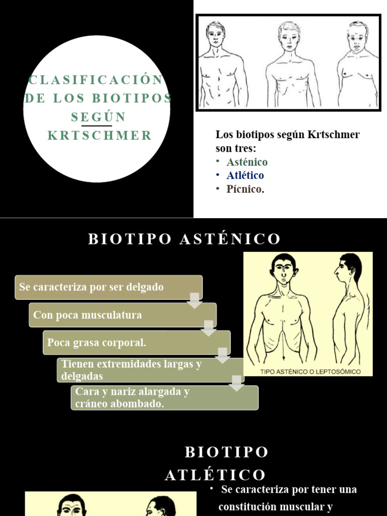 Clasificación de Biotipos según Krtschmer | PDF | Salud y bienestar